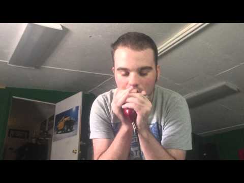 Digital Reference DRHM1 Red Howler Pro Harmonica Mic 2010s - | Reverb