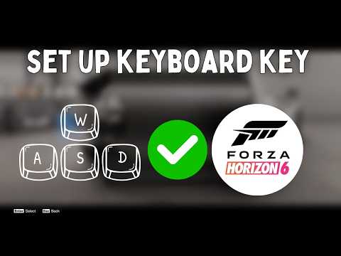 racing wheel setup for Forza Horizon 6