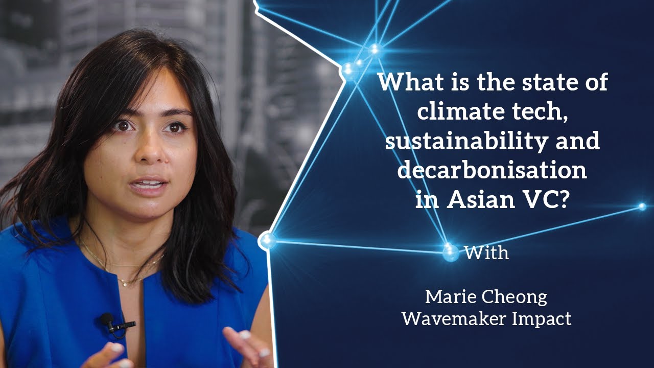 Marie Cheong, Wavemaker Impact on climate tech, sustainability and decarbonisation in Asian VC