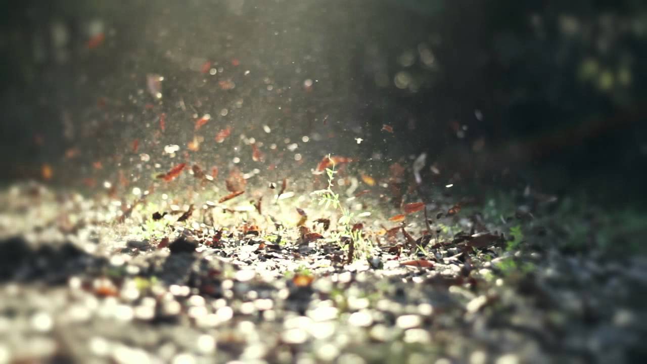 Three tips to prevent sewer problems