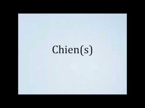 How to pronounce Chiens/Chiennes/chiots