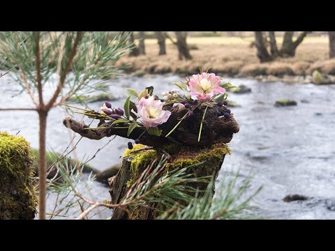 Hellebore Delight with Alyson Reynolds | Overview