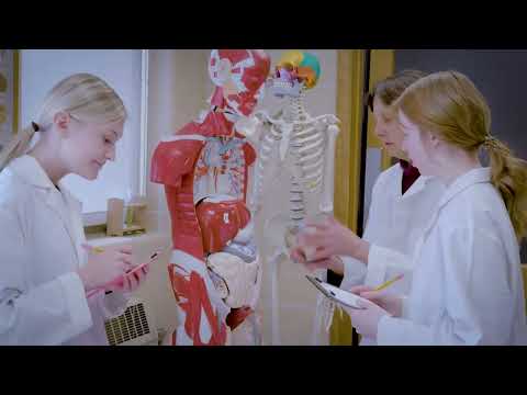 Labster prepares Kazanne for lab and career