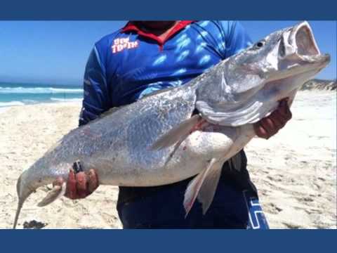 Best Fishing of Your Life… – Demelza Carlton's Place
