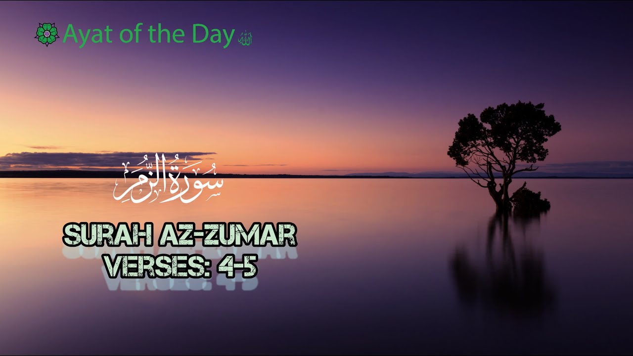 Surat Az Zumar 39 The Troops Ayat 4 5 Omar El Sabe