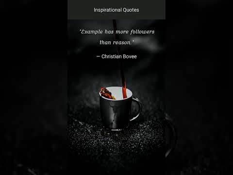 Example has more followers than reason — Christian Bovee | Motivational & Inspirational Quotes
