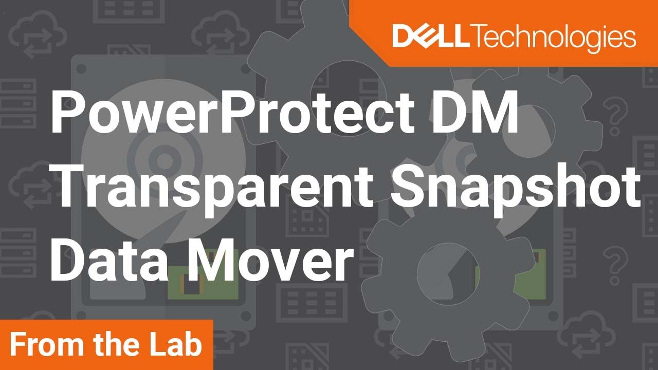 How to use Transparent Snapshot Data Mover (TSDM) with PowerProtect Data Manager 19.9