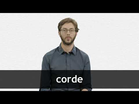 English Translation of “CORDE” | Collins French-English Dictionary