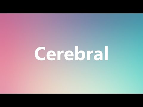 Cerebral - Medical Definition and Pronunciation