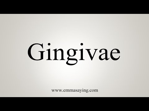 How To Say Gingivae