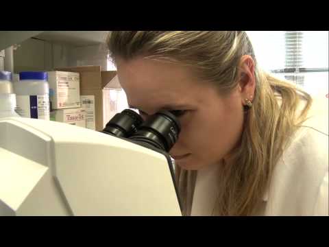 NEI-LabTV Profile: Jennifer Kielczewski, Laboratory of Immunology