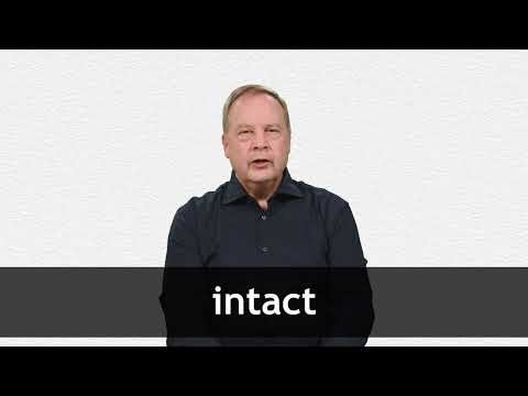 INTACT definition and meaning | Collins English Dictionary