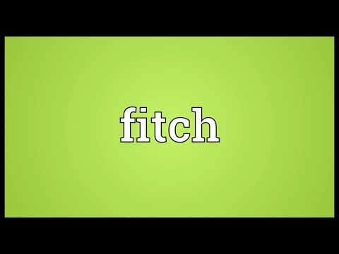 Fitch Meaning