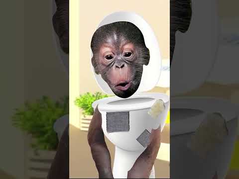 Funny Zoo Animals! Epic Prank in backyard !!!  #animalpranks #memes #cartoon #Funny #Zoo #Animals 💥