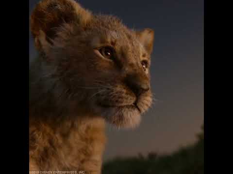 THE LION KING ODEON ISENSE Square