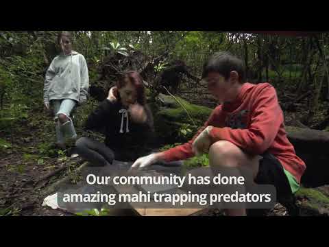 Your Place, Your Say - The future of Towards Predator-Free Taranaki