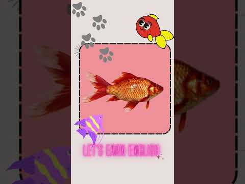 Idioms and Phrases / Red Herring