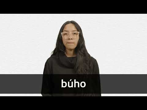English Translation of “BÚHO” | Collins Spanish-English Dictionary