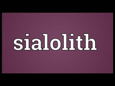 Sialolith Meaning