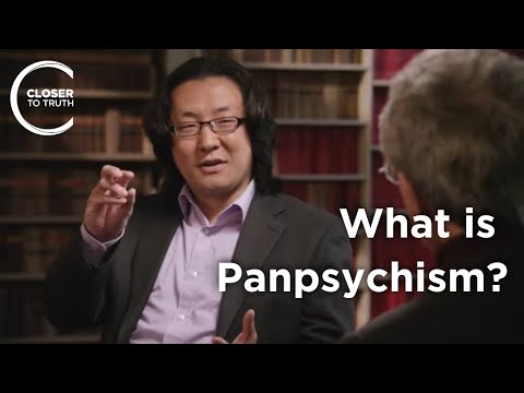Panpsychism: Can it explain human consciousness – The Glorious Quran ...