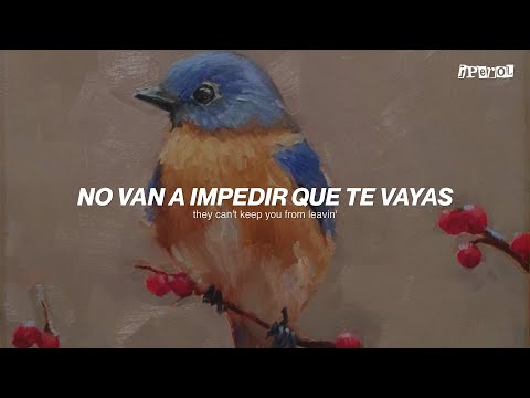 Lana Del Rey - Bluebird (Español + Lyrics)
