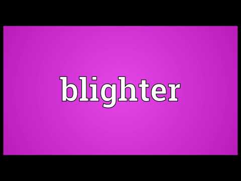 Blighter Meaning