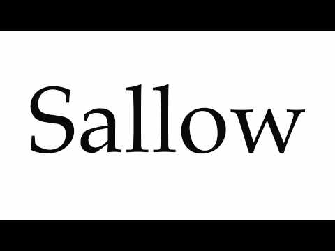 How to Pronounce Sallow