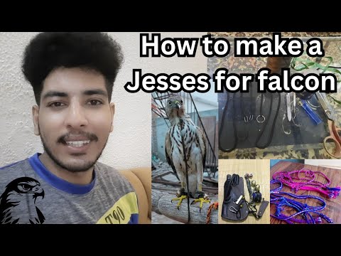 How to make a jesses for falcon #ali90860 #animallover #falconery #falconeryequipment