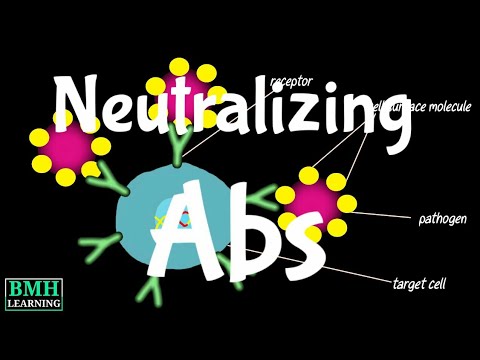 Neutralizing Antibodies | Non Neutralizing Antibodies |