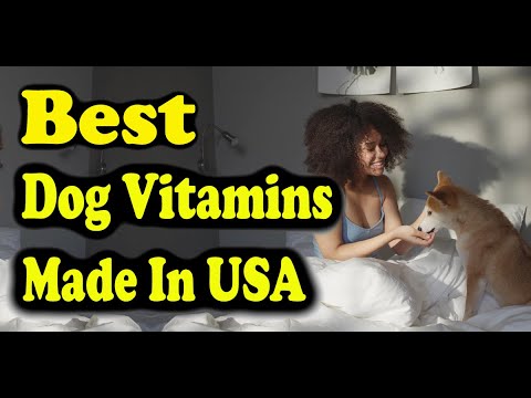 Best Dog Vitamins Made In USA