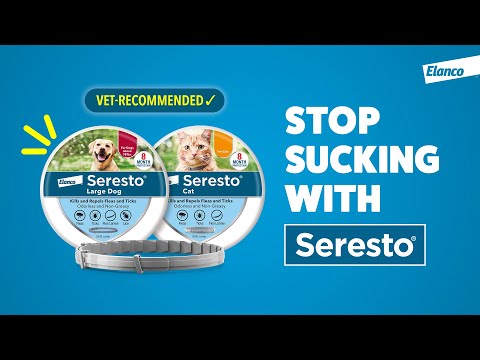 Stop the Suck of Fleas & Ticks for Your Duo with Seresto® Collar :15s