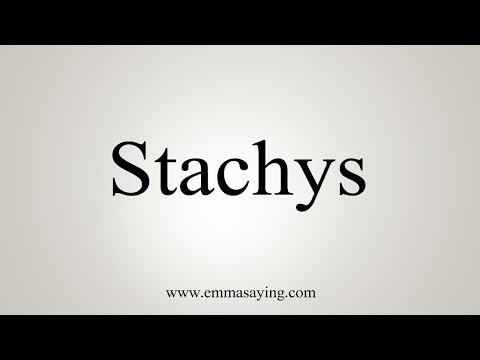 How To Say Stachys