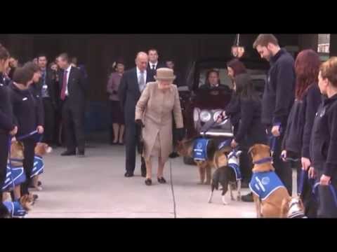 The Queen at Battersea Dogs Home