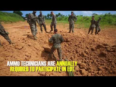 Ammo Tech Marines, EOD Marines work alongside each other in emergency destruct training