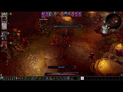 Steam Community :: Video :: The Purged Dragon Quest - Killing Radeka ...