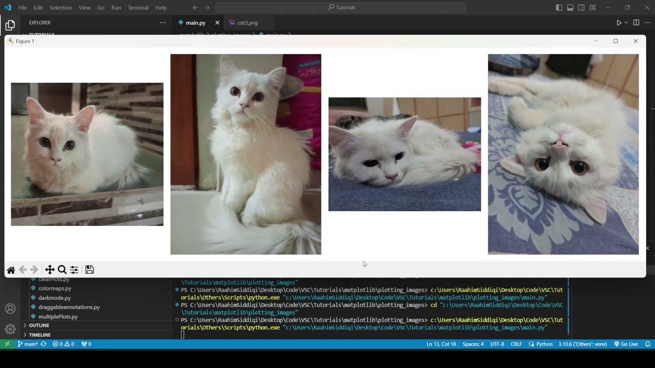 Matplotlib: Plotting Single & Multiple Images Made Easy!
