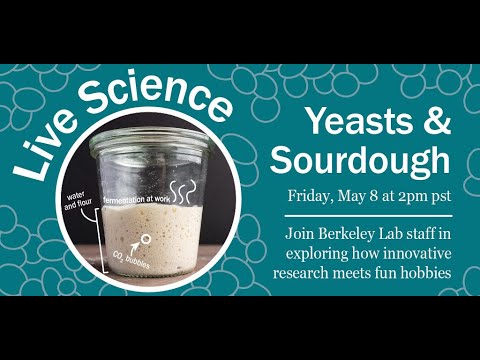 Live Science Series: The Sourdough Experiment
