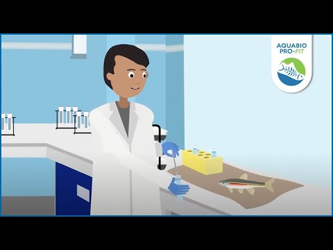 Aquabioprofit - How to use the whole fish, from head to tail
