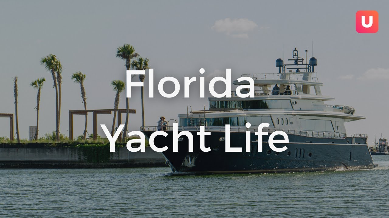 Things to Do in Tampa Bay this Weekend | UNATION