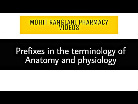 Prefixes in the terminology of Anatomy and physiology | Mohit Ranglani pharmacy video | For B pharma