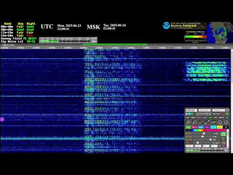 The Buzzer (4625khz) - Live