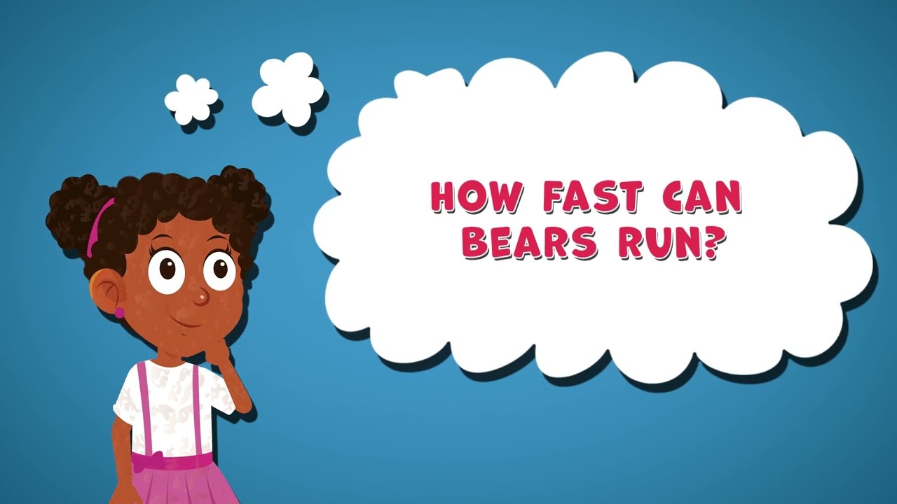 How Fast Can Bears Run | Bears Facts for Kids | Fun Facts about Bears | Animals Facts for Kids