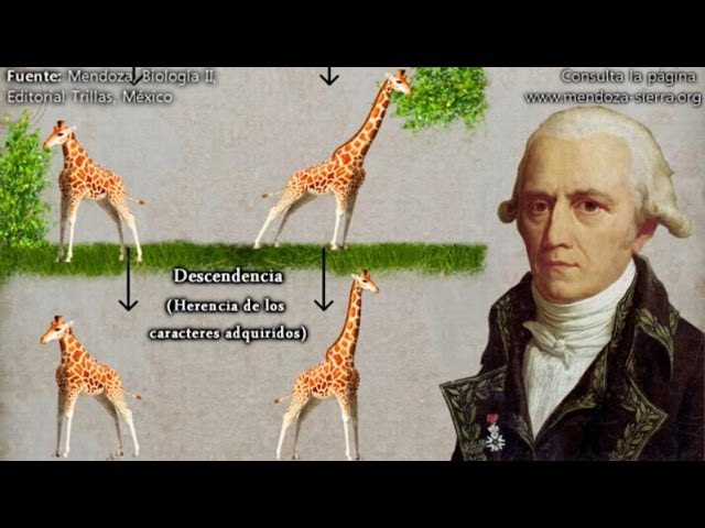 The Evolution of Evolutionary Ideas: From Anaximander to Lamarck | Galaxy