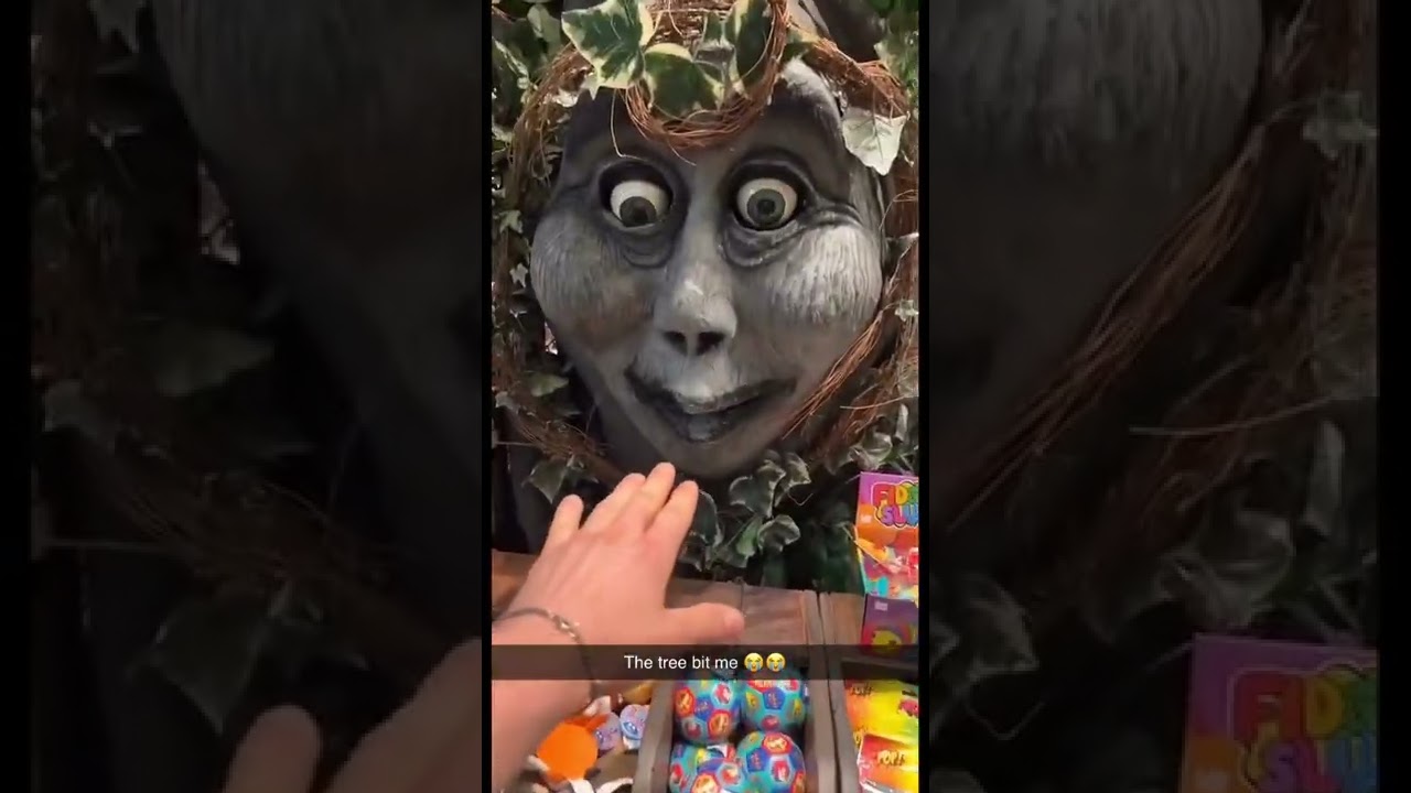 The tree bit me 😭