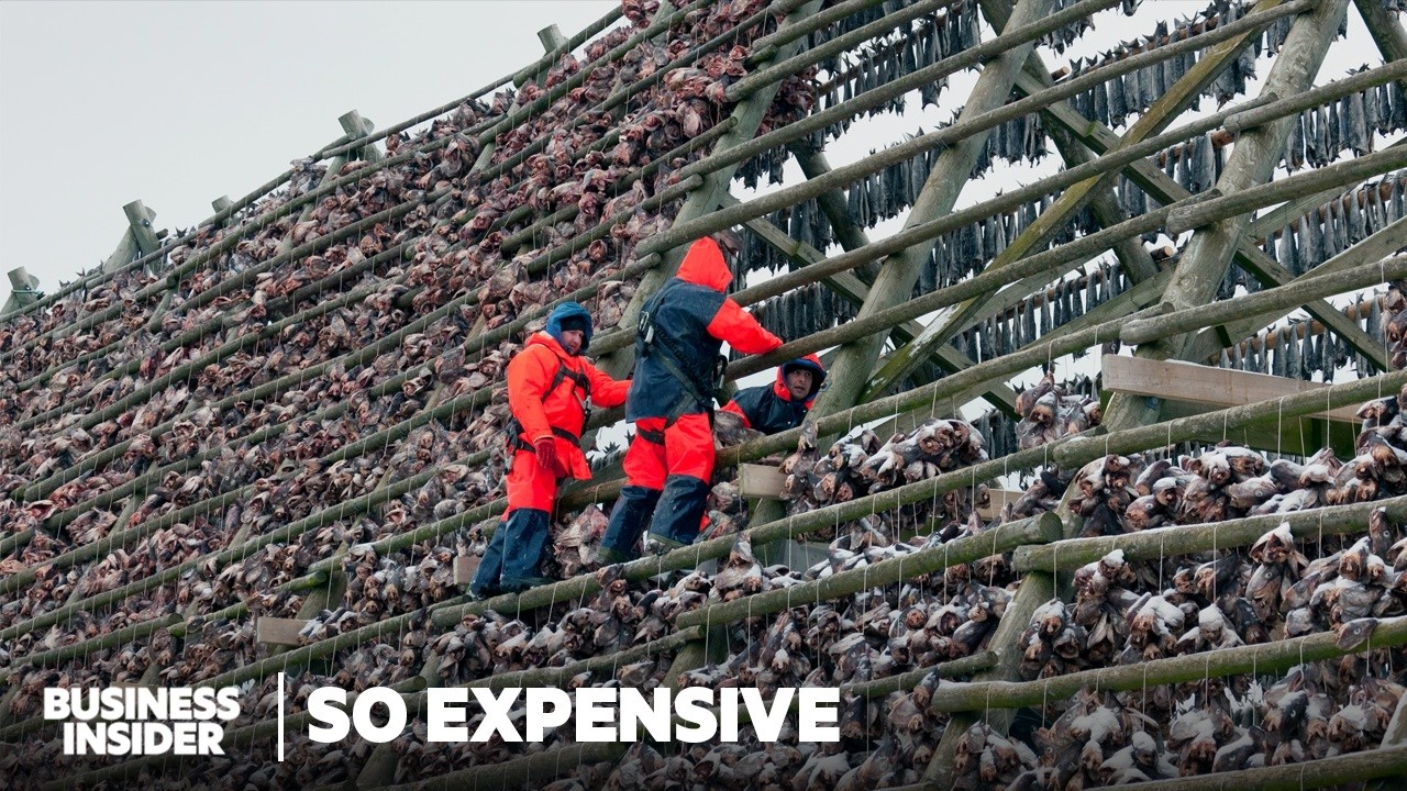 Why Stockfish Is So Expensive | So Expensive Food | Business Insider