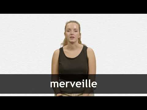 English Translation of “MERVEILLE” | Collins French-English Dictionary
