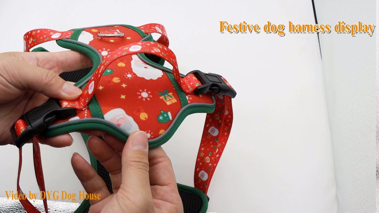 Festive dog harness-Customized Item