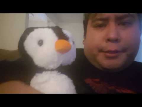 Pet Penguin Gift