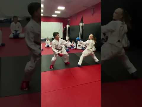 Just a regular day training karate ???? | ???? (TT) shkunov_team karatetechniques
