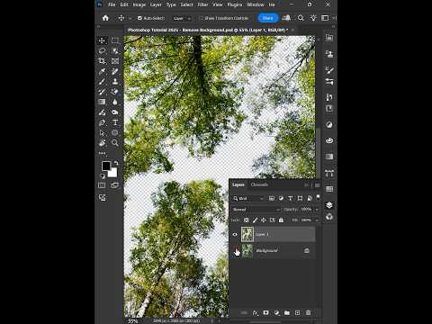 Photoshop 2025 Tips - Utilizing Channels to remove sky background #ducthangds